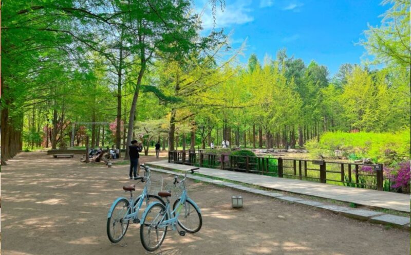 Seoul: The Painter Show with Nami Island - FAQ