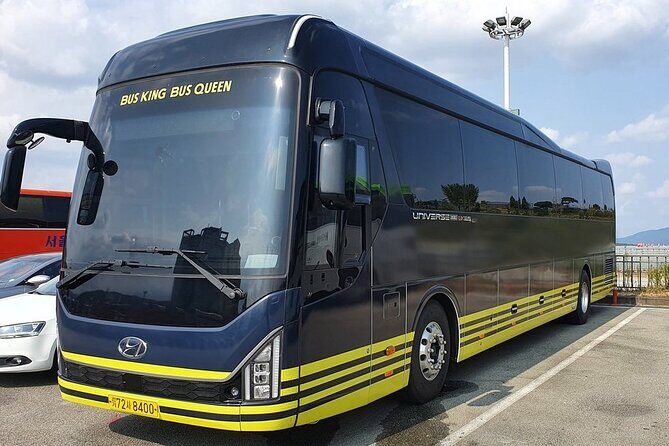 Seoul to/from Nami Island: Round trip Shuttle Bus Service - Final Thoughts: Is This Tour for You?