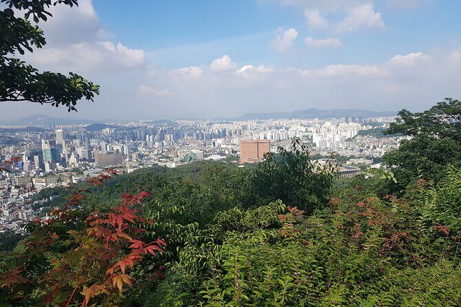 Seoul Tower walking tour - Who Should Consider This Tour?