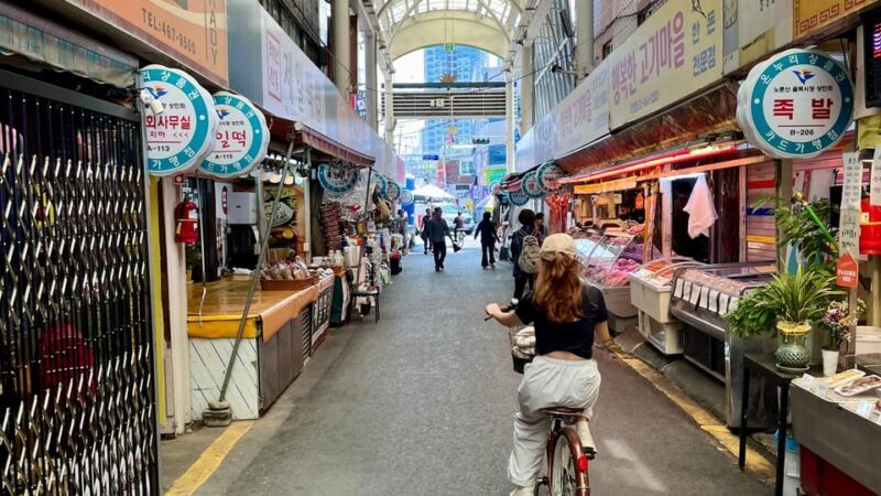 Seoul: Urban Nature Bike Tour along Han River - A Detailed Look at the Tour Experience