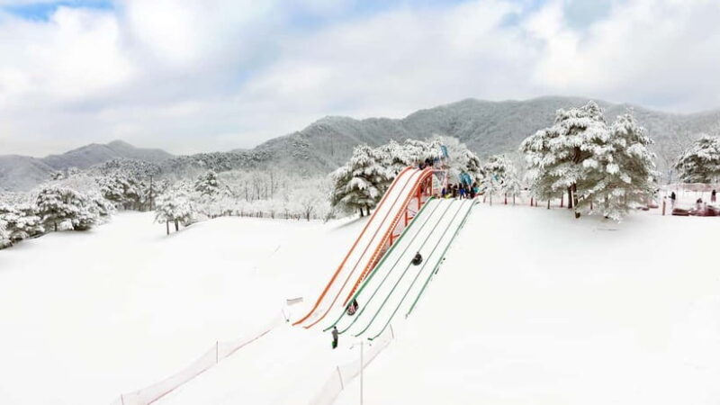 Seoul: Vivaldi Park Winter Ski with Eobi Ice Valley Day Tour - Key Points