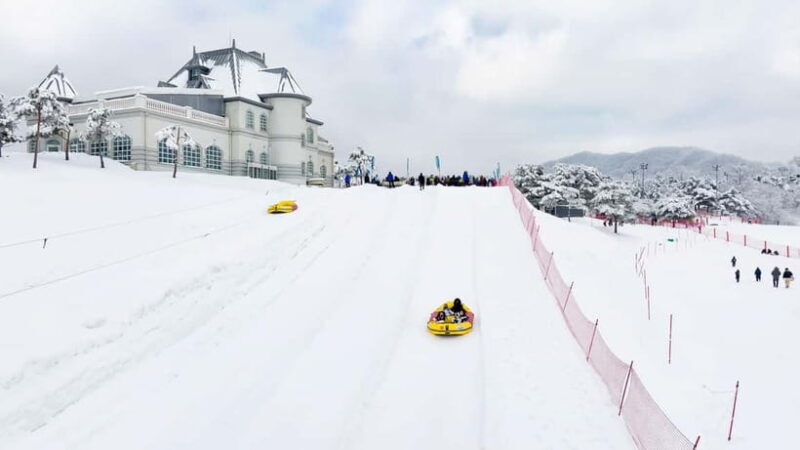 Seoul: Vivaldi Park Winter Ski with Nami Island Day Tour - Key Points