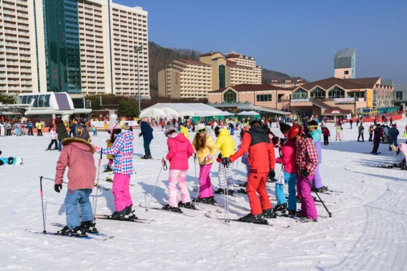 Seoul: Vivaldi Park Winter Ski with Nami Island Day Tour - Authentic Insights from Travelers