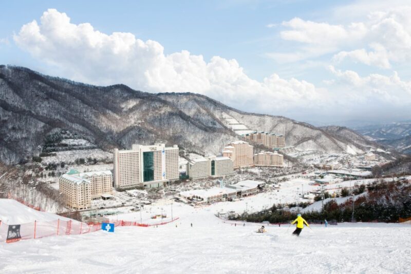Seoul: Vivaldi Park Winter Ski with Nami Island Day Tour - Final Thoughts: Is This Tour Right for You?