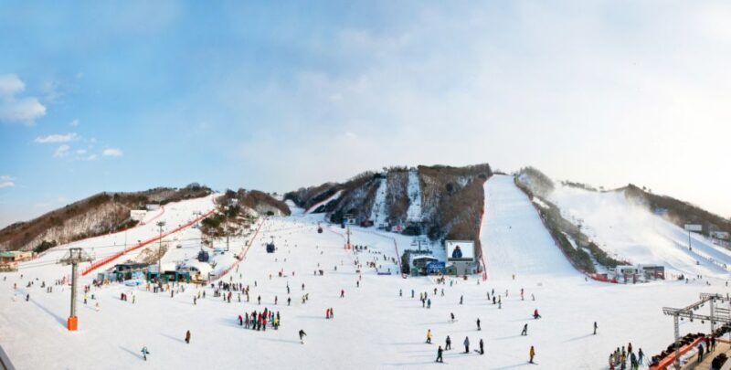 Seoul: Vivaldi Park Winter Ski with Nami Island Day Tour - The Sum Up