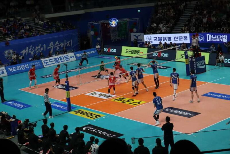 Seoul: Watching Sports Match & Local Food Experience - The Experience: What to Expect