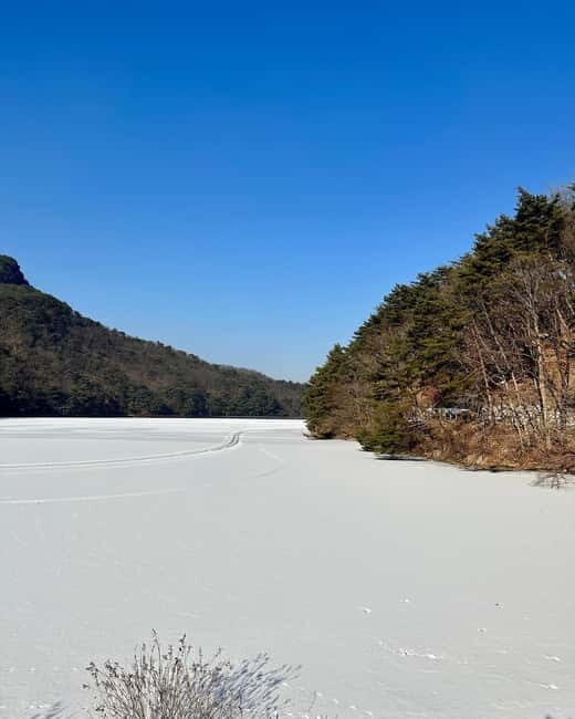 Seoul: Winter Day Tour in Pocheon with Strawberry Picking - Key Points