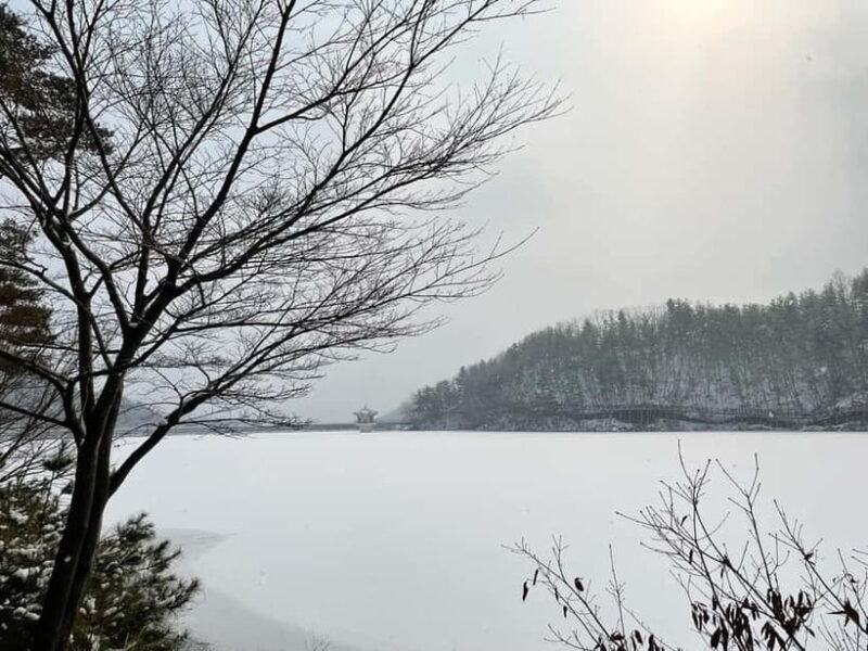 Seoul: Winter Day Tour in Pocheon with Strawberry Picking - An In-Depth Look at the Pocheon Winter Tour