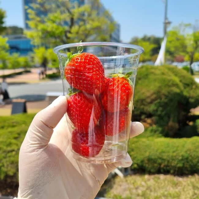 Seoul: Winter Day Tour in Pocheon with Strawberry Picking - FAQ – Practical Questions