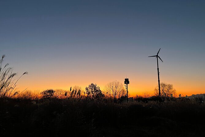 Seoul Winter Sunrise New Year Morning Experience - Post-Sunrise Breakfast