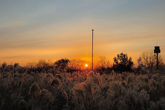 Seoul Winter Sunrise New Year Morning Experience - Value for Money