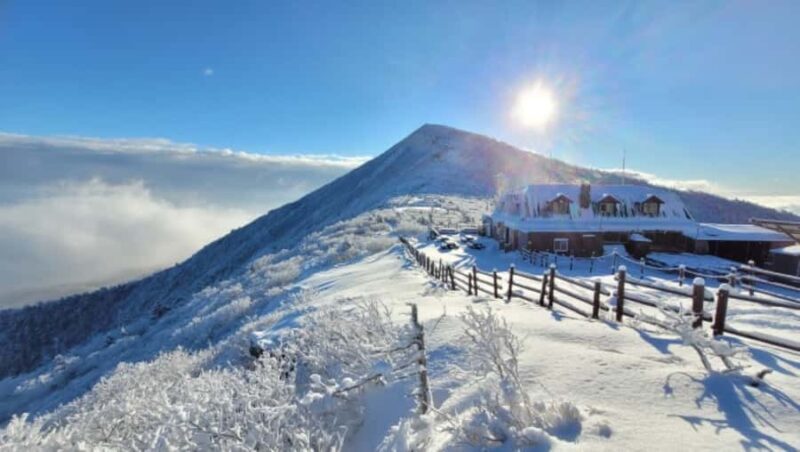 Seoul: Winter Wonder, Mt. Seorak & Nami island & Eobi Valley - Who Should Consider This Tour?