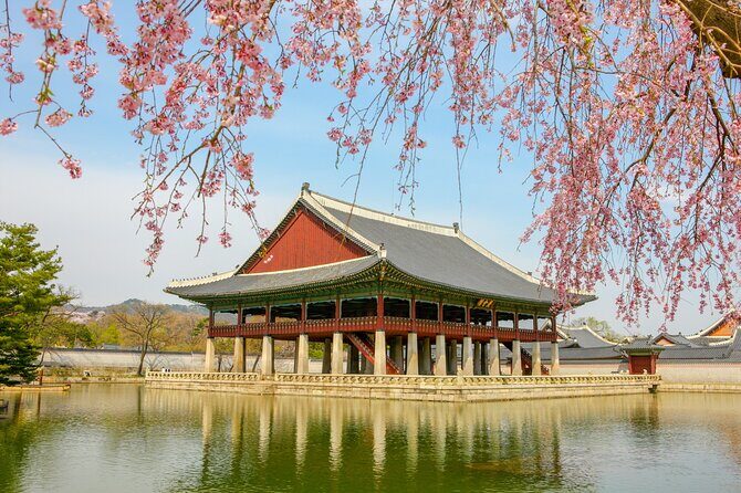 Seoul with a local Insider - Authentic Seoul: What You Can Expect