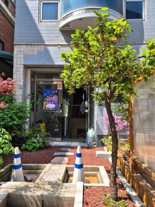 Seoul: Yeonhui Art Fair, Exhibition, Gallery Walking Tour - A Nature Walk with Artistic Rewards