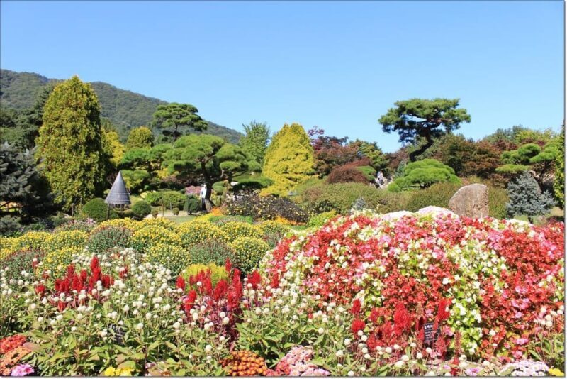 Seoul:Private-Nami Island,Morning Calm Garden,Petite France - Practicalities & Considerations