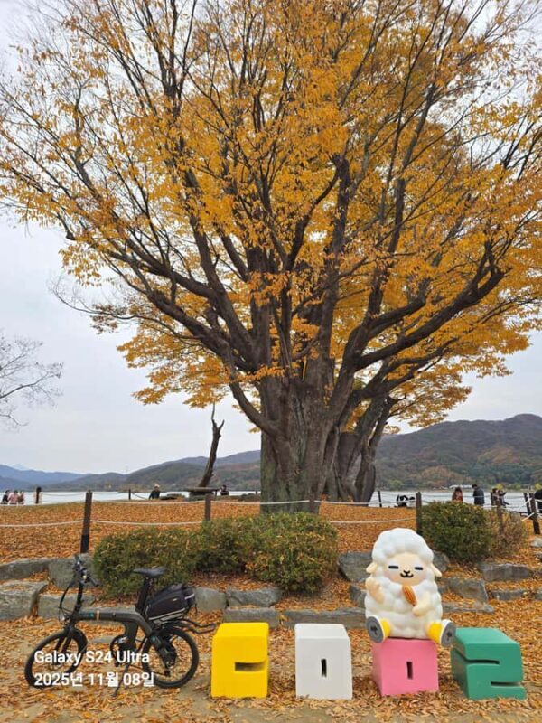 Seoul:Yangpyeong Day Trip with Dumulmeori & Yongmunsa Temple - Exploring the Tranquil Charms of Yangpyeong: A Day Trip Review