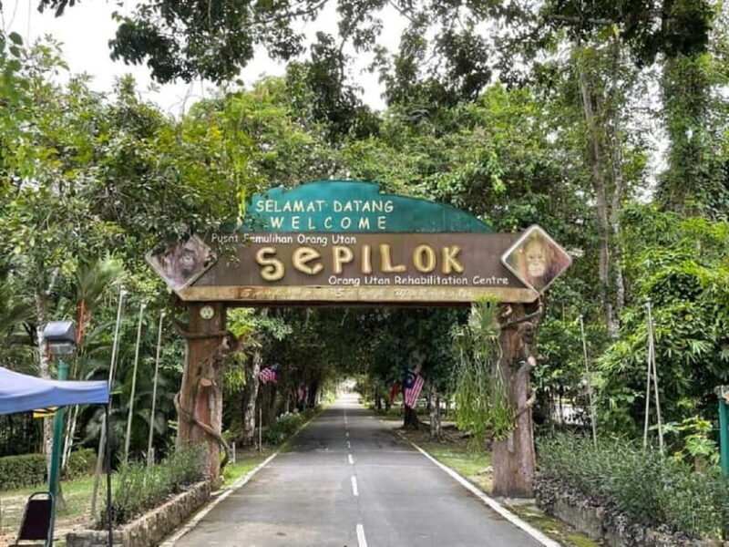 Sepilok OrangUtan, Sun Bear & Labuk Bay Full Day Trip - Practical Tips for Booking and Participating