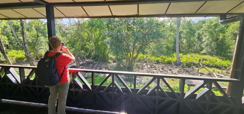 Sepilok OrangUtan, Sun Bear & Labuk Bay Full Day Trip - FAQ About the Sepilok OrangUtan, Sun Bear & Labuk Bay Full Day Trip