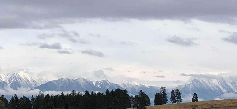 September 2025 British Columbia Rocky Mountain Birding Tour - An In-Depth Look at the Tour Experience