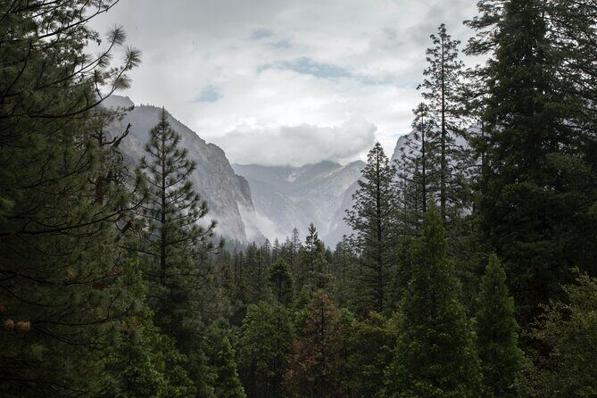 Sequoia Full Day Private Tour and Hike - Detailed Review: What You Can Expect from This Tour