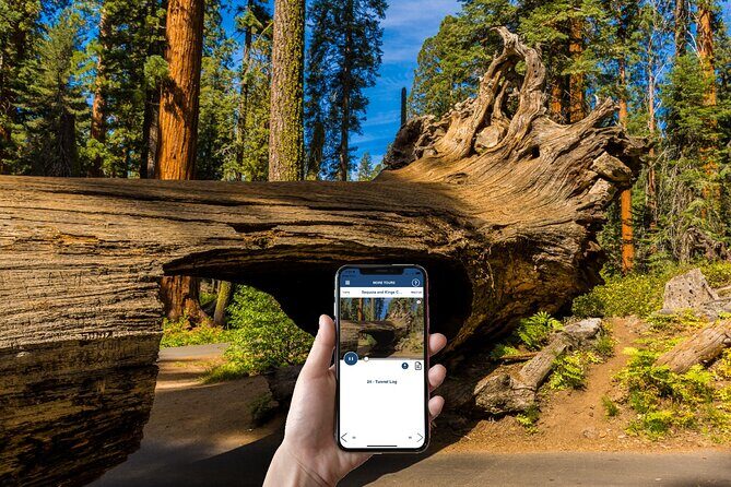Sequoia & Kings Canyon NP Self-Guided Driving Audio Tour - FAQ