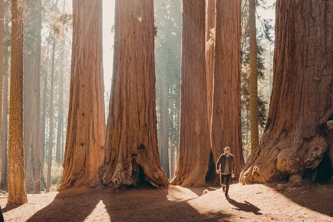 Sequoia & Kings Canyon Two Day Private Tour & Hike - What We Love: The Strengths of This Tour