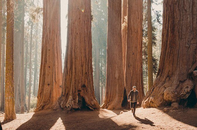 Sequoia & Kings Canyon Two Day Private Tour & Hike - Who Will Enjoy This Experience?