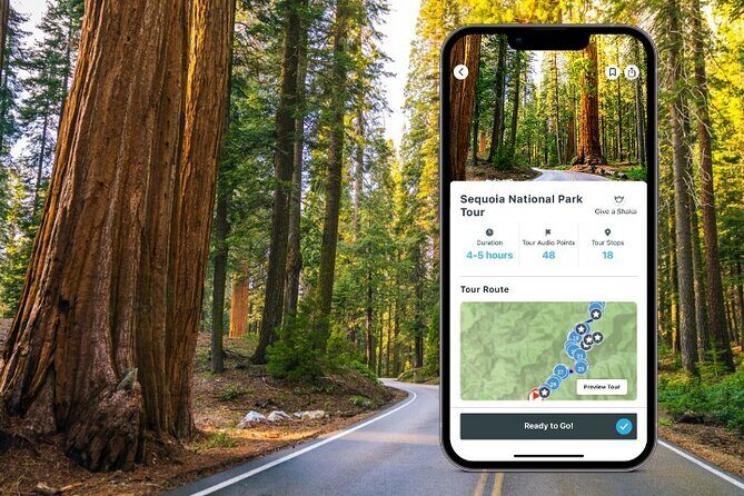 Sequoia National Park Self-Guided Audio Tour - A Detailed Breakdown of the Itinerary