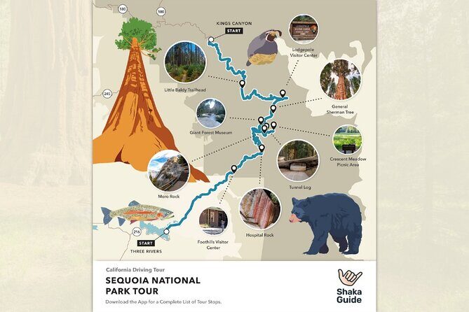 Sequoia National Park Self-Guided Audio Tour - Who Should Consider This Tour?