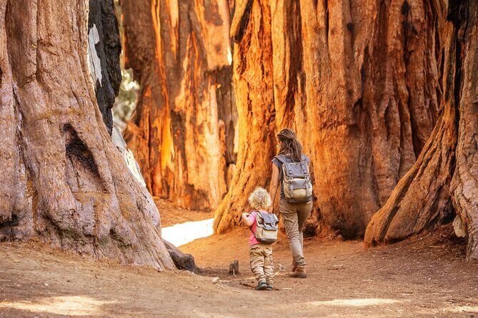 Sequoia National Park Self-Guided Audio Tour - Final Thoughts