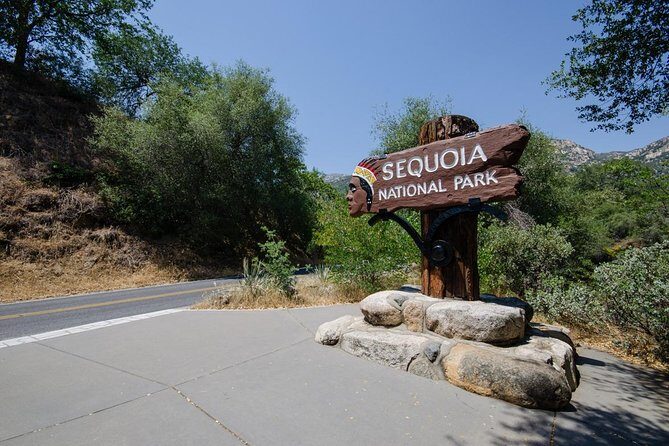 Sequoia Park Private Tour - Day 2: The Big Giants and the Tunnel Log