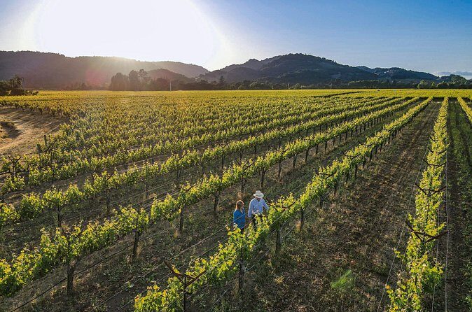 Serene and Romantic Wine Tasting Next to the Vines in Napa Valley - Who Should Consider This Tour?