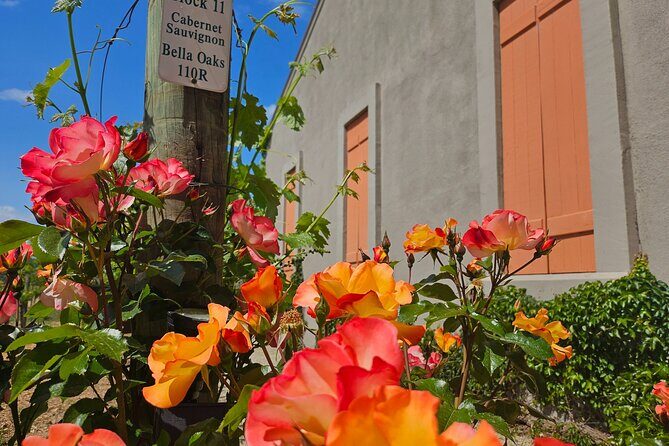 Serene and Romantic Wine Tasting Next to the Vines in Napa Valley - FAQ