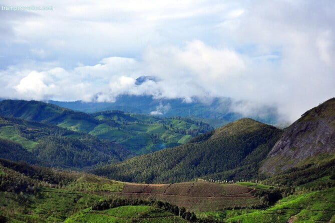 Serene Munnar Retreat: Private Tour from Kochi to the Munnar Hill - The Practicality of a Private Tour from Kochi to Munnar