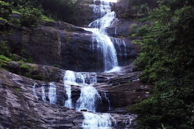 Serene Munnar Retreat: Private Tour from Kochi to the Munnar Hill - Who Would Love This Tour?
