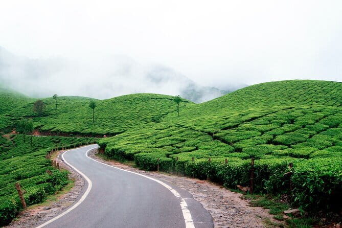 Serene Munnar Retreat: Private Tour from Kochi to the Munnar Hill - FAQ
