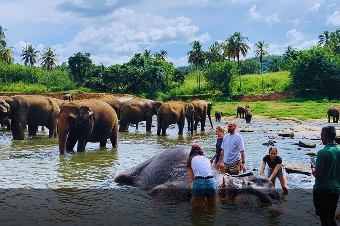 Serenity Escape Sri Lanka 5 Day Eco Friendly Private Tour - Exploring the Itinerary in Detail