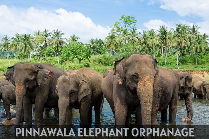 Serenity Escape Sri Lanka 5 Day Eco Friendly Private Tour - The Sum Up: Is This Tour for You?