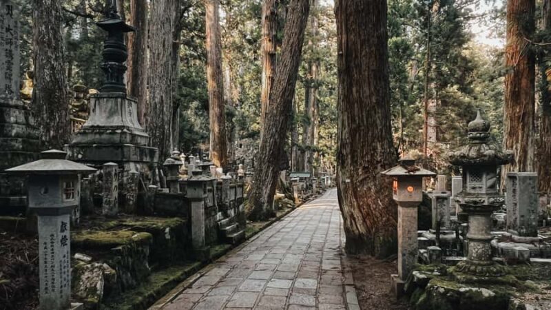 Serenity & Sacred Sites: Koyasan Full-Day Guided Walk - Key Points