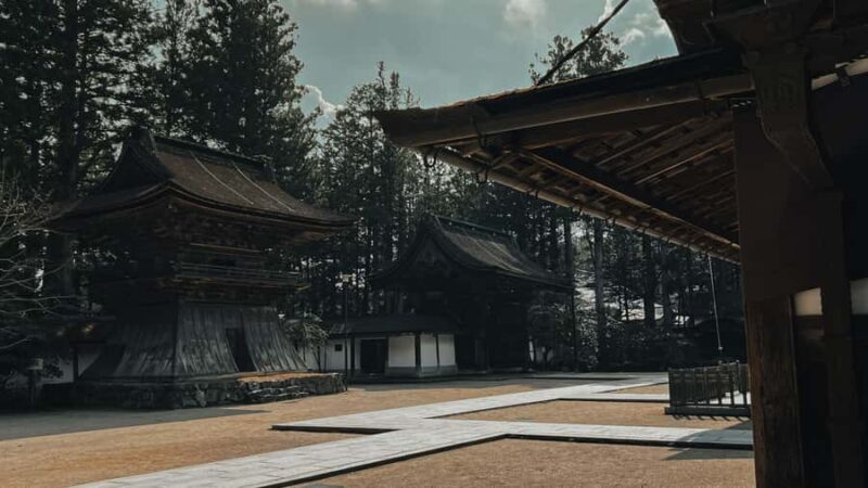 Serenity & Sacred Sites: Koyasan Full-Day Guided Walk - An In-Depth Look at the Koyasan Sacred Walk