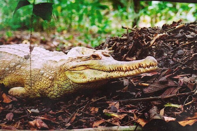 Serikin Market & Fairy Wind Cave - Final Thoughts