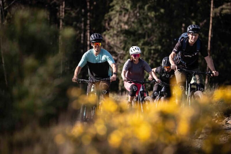 Serra da Lousã: Aldeias do Xisto Bike Tour with Local Guide - Discovering the Serra da Lousã Landscape