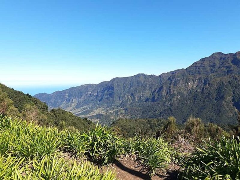 Serra dÁgua: A Scenic Levada Walk - A Closer Look at the Serra d’Água Scenic Levada Walk