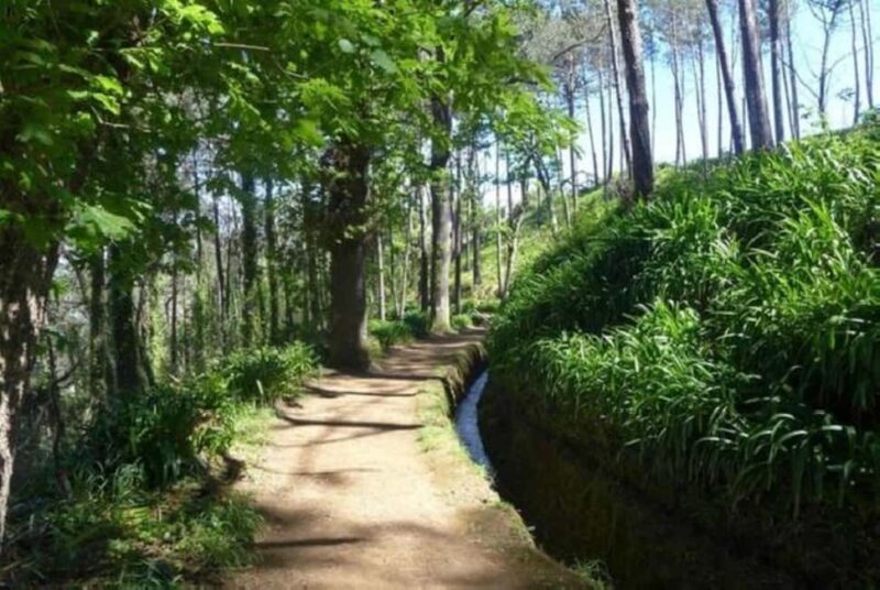 Serra dÁgua: A Scenic Levada Walk - Final Thoughts
