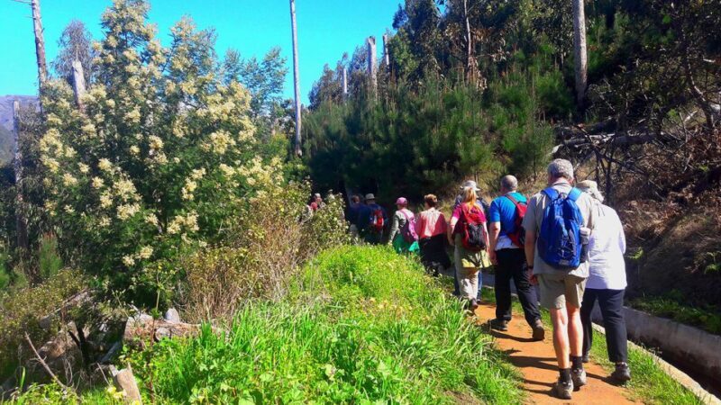 Serra de Água Valley Levada Walk - A Closer Look at the Serra de Água Valley Levada Walk Experience