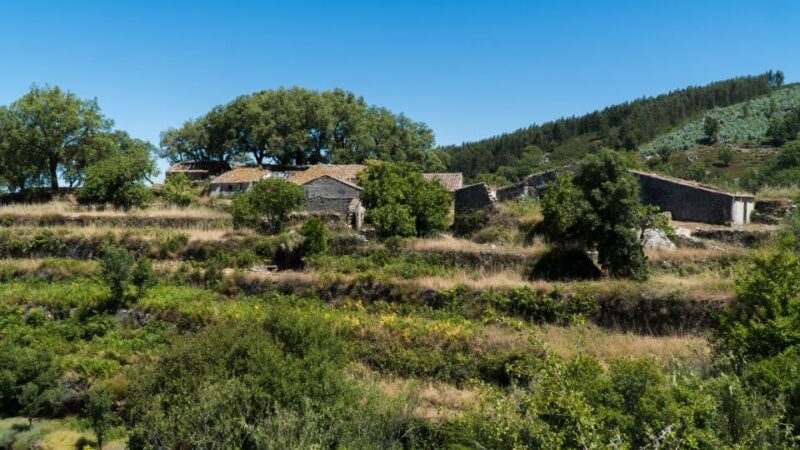 Serra de Monchique & Bravura Half Day Off-Road Day Trip - What Travelers Are Saying