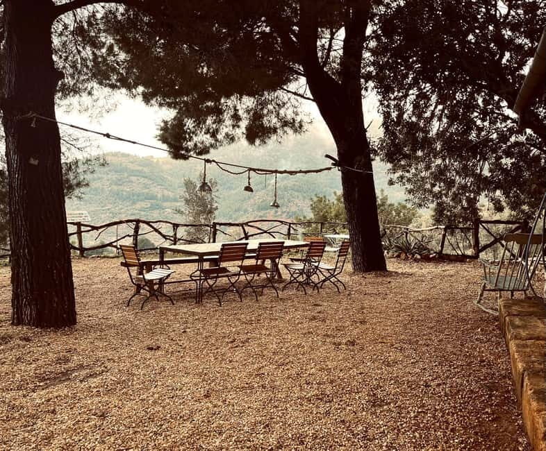 Serra de Tramuntana, Fornalutx: The olive tree: culture, cultivation, tasting. - The Sum Up