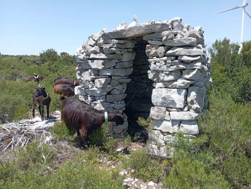 Serra dos Candeeiros: Alcobertas' Cave and the Natural Park - Who Should Consider This Tour?