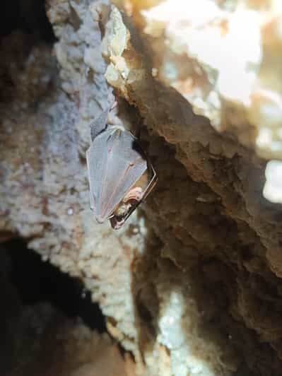Serra dos Candeeiros: Alcobertas' Cave and the Natural Park - FAQ