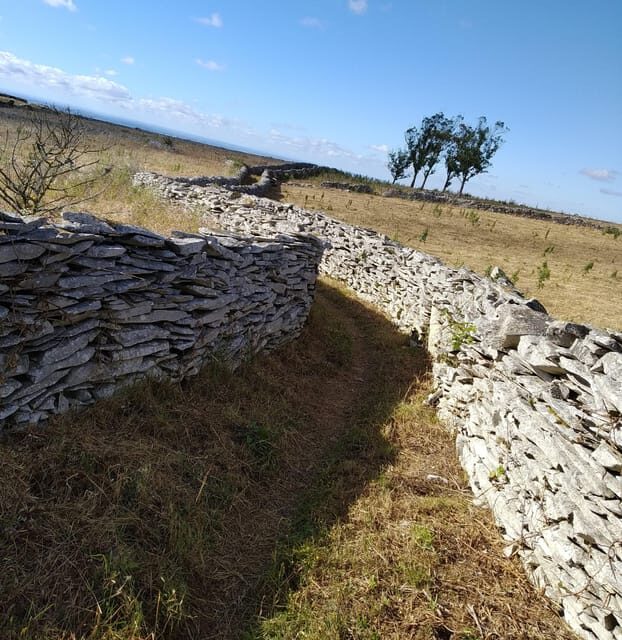 Serras de Aire e Candeeiros: Nature & Geology Exploration - Key Points